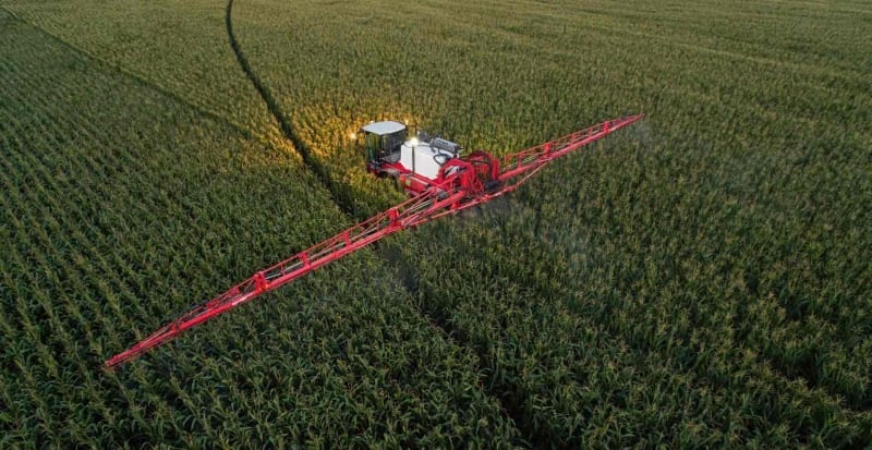 Corn / Maize - agrifac