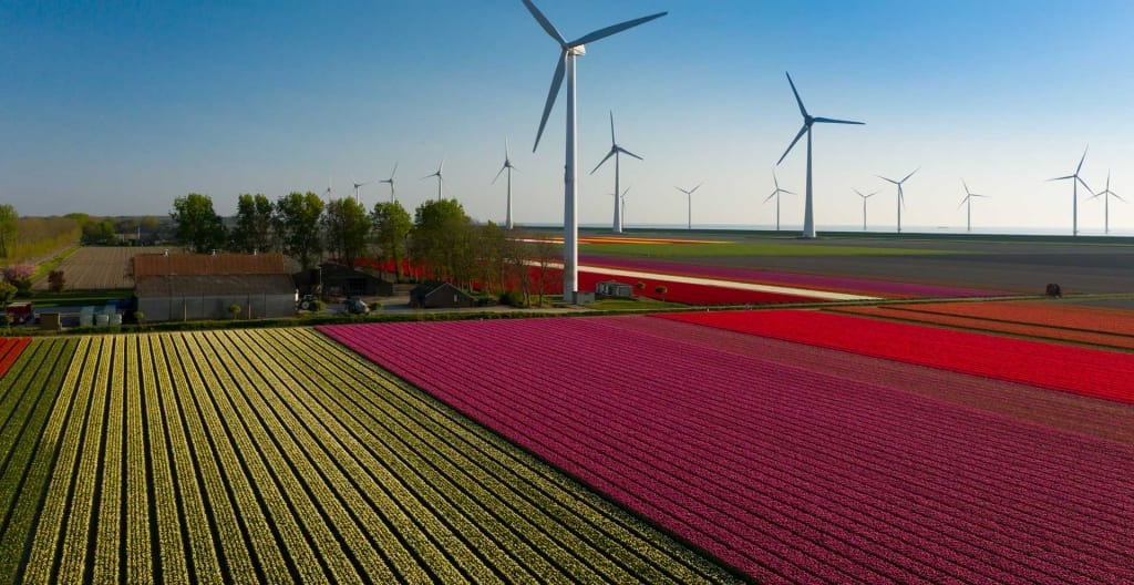 Crops Archive - agrifac