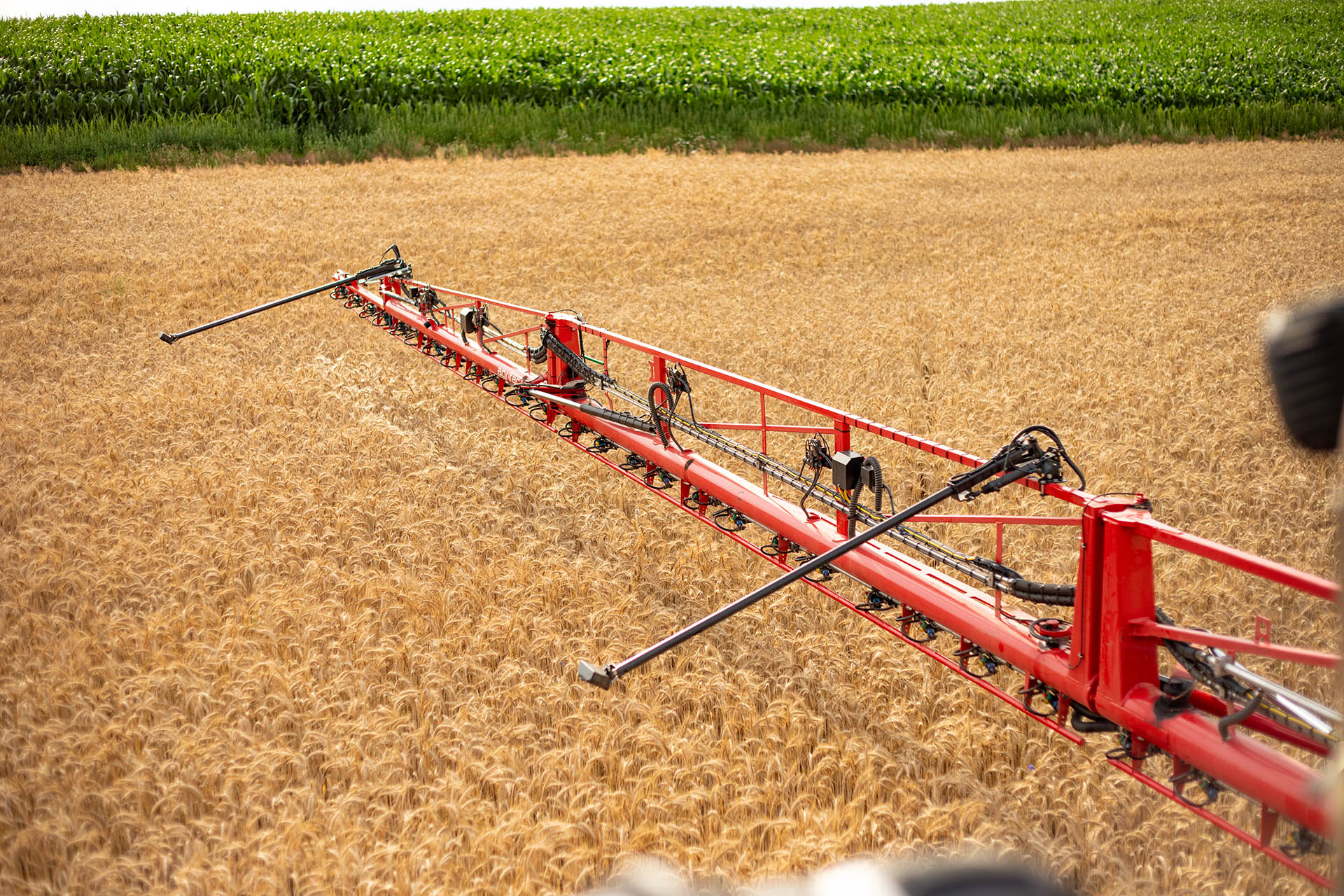 Cereals - Agrifac United States