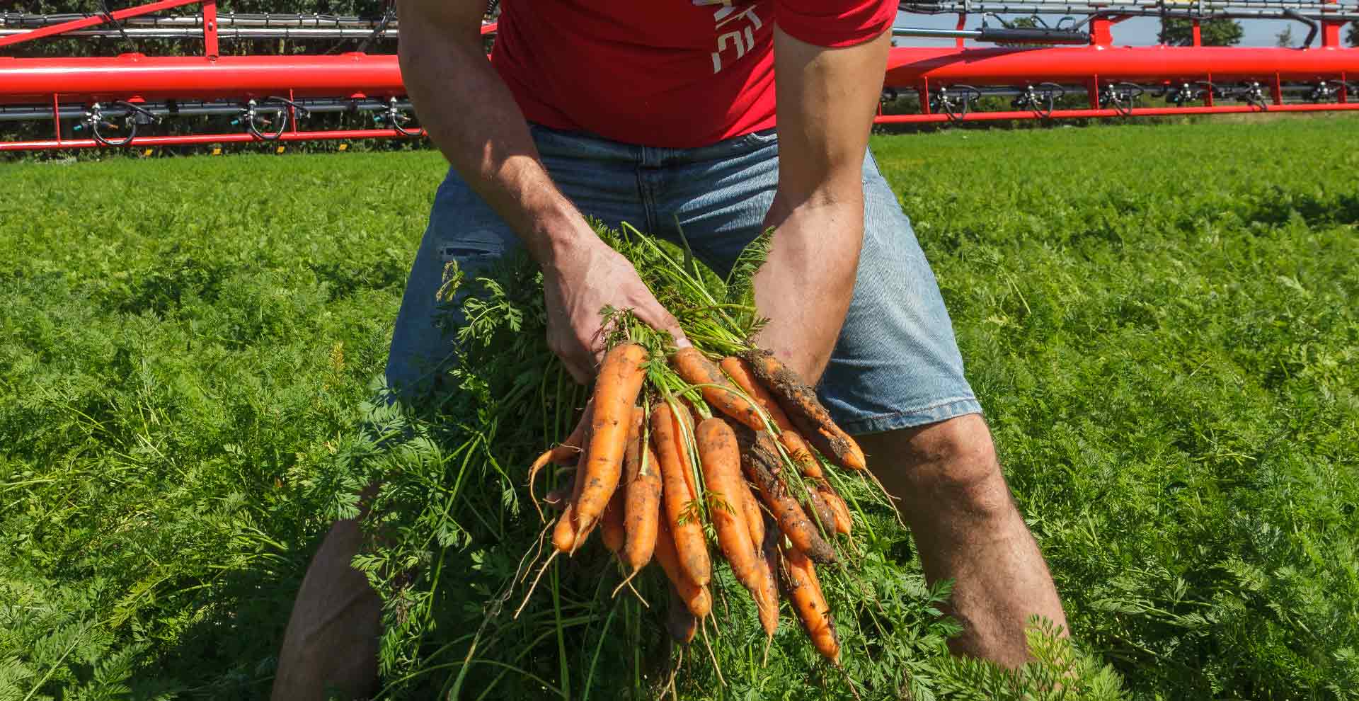 Food Crops - Agrifac Nederland