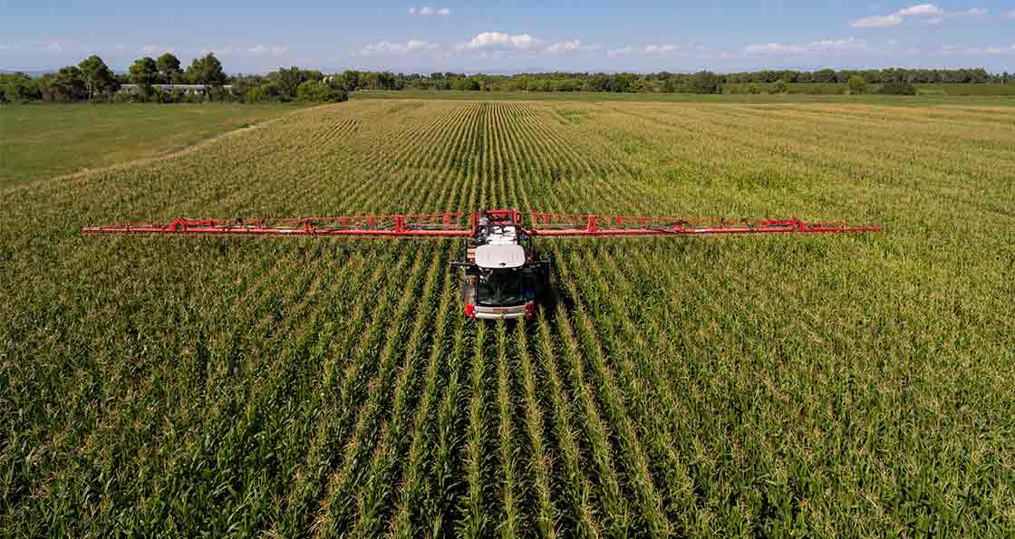 Maize - Agrifac United Kingdom