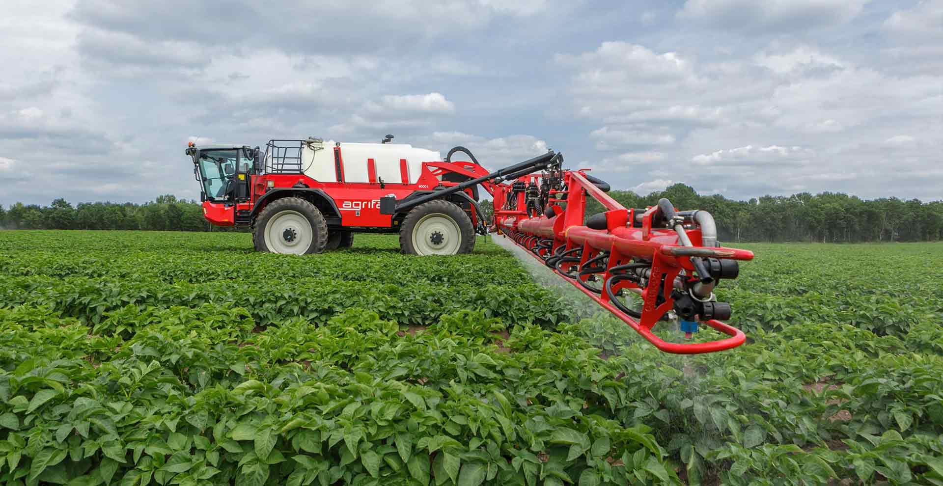 Vegetables - Agrifac Australia